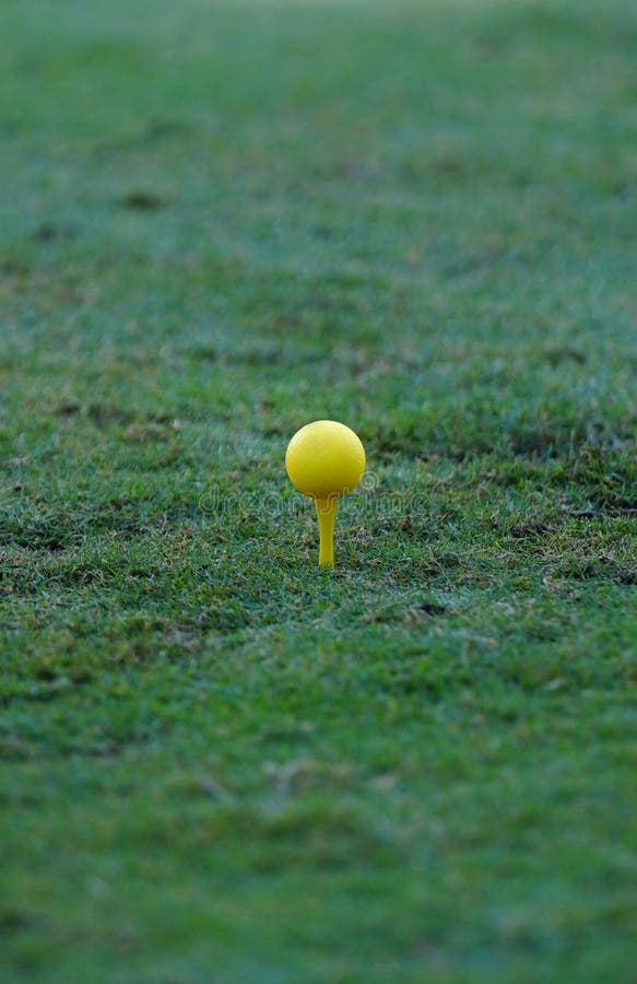 Golf Ball on Tee Ready To Practice Stock Image - Image of hobby ...