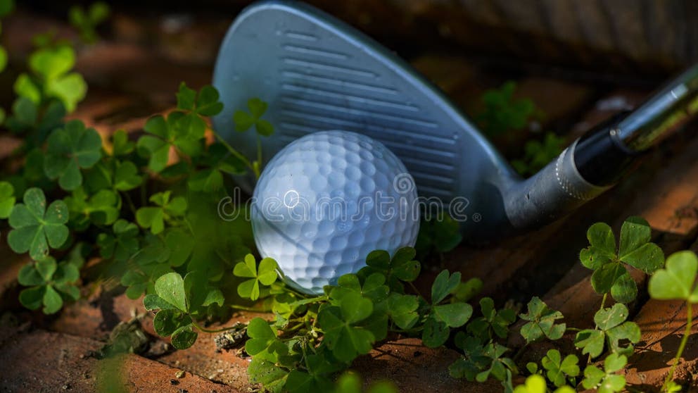 Golf Balls and Clubs in the Obstacle Zone of the Course Stock Image ...