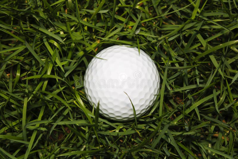 Obstacles in Playing Golf the Golf Ball Fell in the Long Grass Stock ...