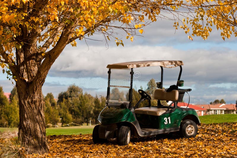 Golf Buggy stock image. Image of outdoors, buggy, play - 16380127