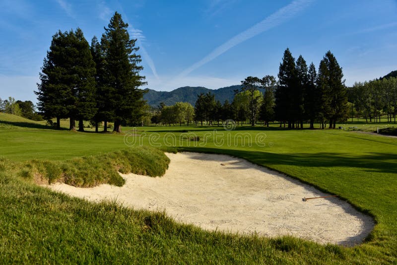 Golf Bunker or Sand Trap in Fairway Stock Image - Image of sport, field ...