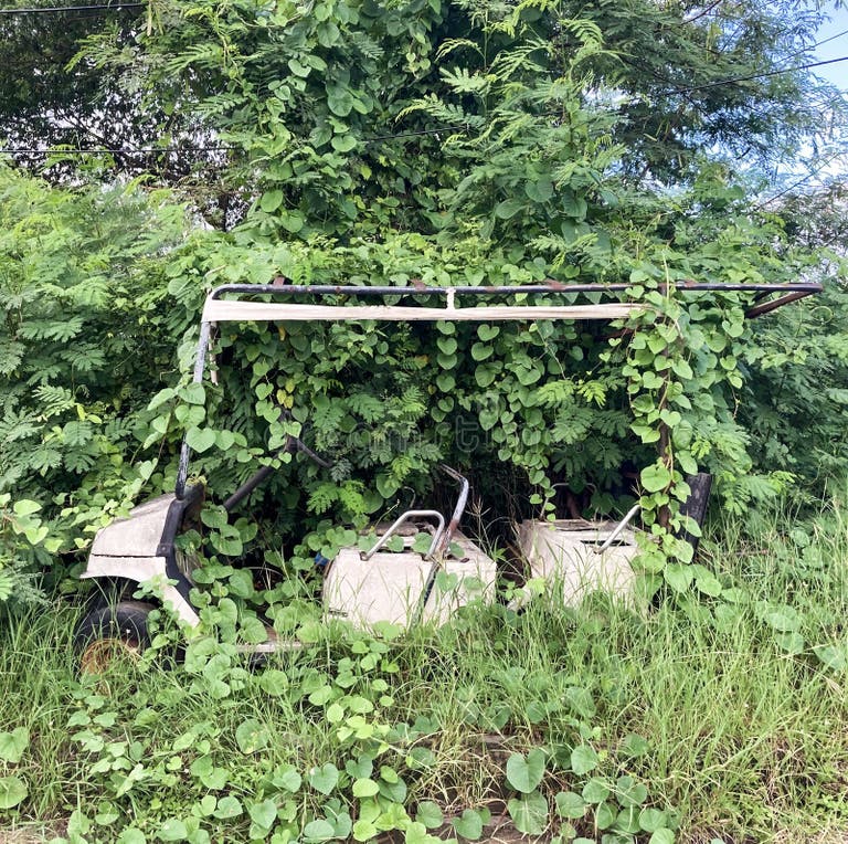 Forgotten Golf Car Stock Photos - Free & Royalty-Free Stock Photos from ...