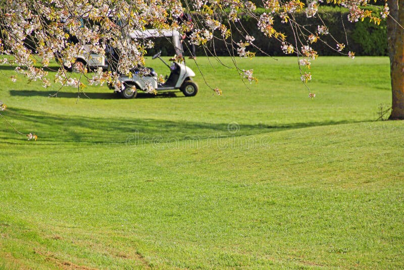 Golf cart on course stock image. Image of recreation - 40175863