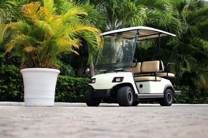 Golf Cart stock image. Image of mountain, club, outdoors - 48389693