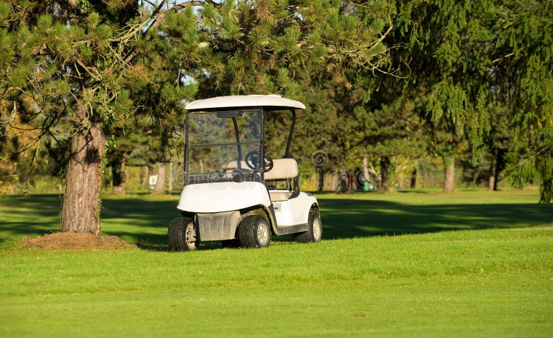 Golf Carts on a Golf Course Stock Image - Image of grass, club: 104420739