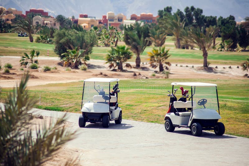 Golf Carts on the Grass Sport Field. Lifestyle and Sport Concept Stock ...