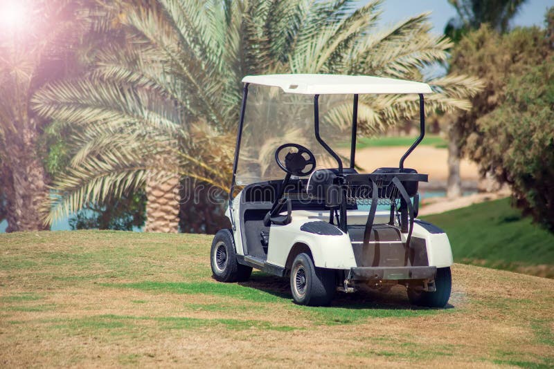 Golf Carts on the Grass Sport Field. Lifestyle and Sport Concept Stock ...