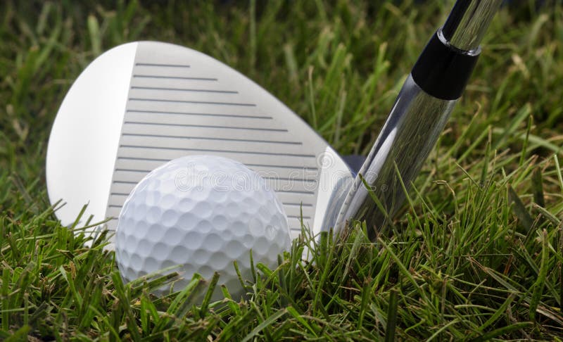 Golf Club and Ball in Grass Stock Image - Image of grass, pursuit: 10731113