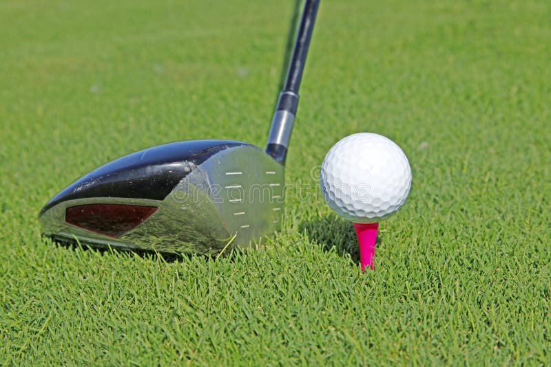 Golf Club and Ball in Grass Stock Photo - Image of sport, activity ...