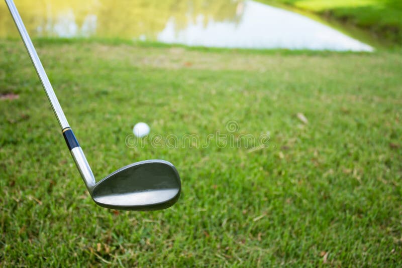 Golf Club and Ball in Grass Stock Photo - Image of ball, outdoors: 76631932