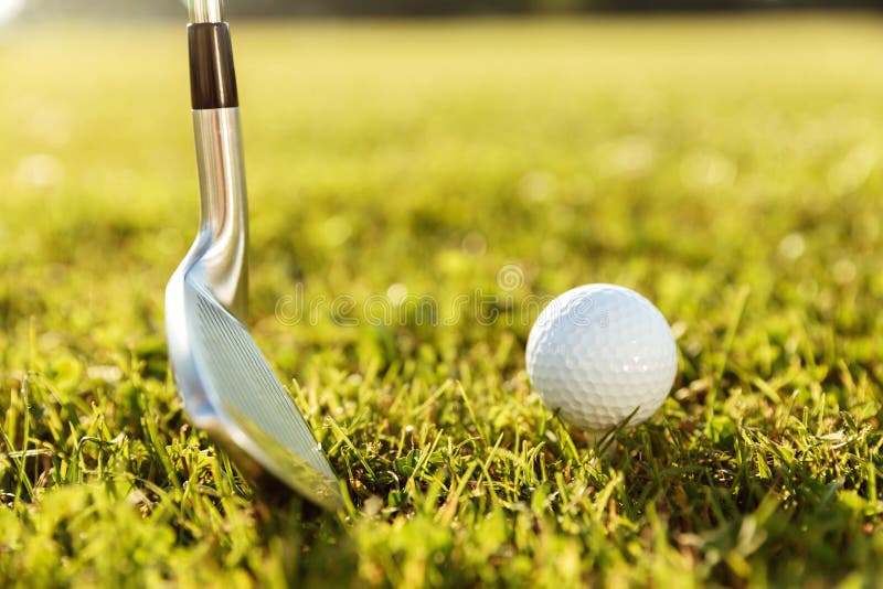 Golf Club and a Ball in Green Grass Stock Image - Image of outdoor ...