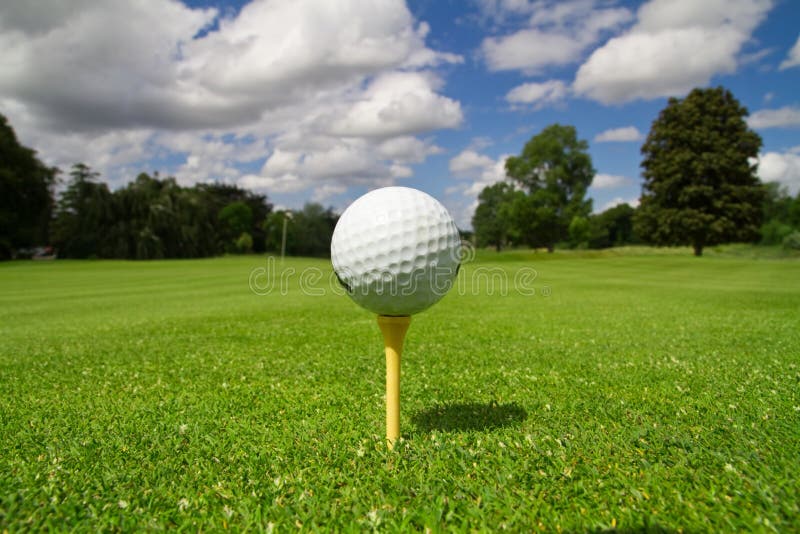 Golf ball on the course stock photo. Image of putting - 29103832