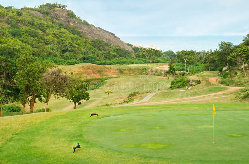 A Golf Fairway a Very Green Golf Course Stock Image - Image of driver ...