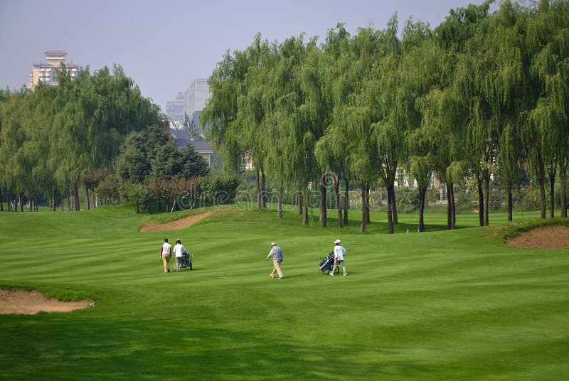 Golf course stock image. Image of game, panoramic, beautiful - 23697823