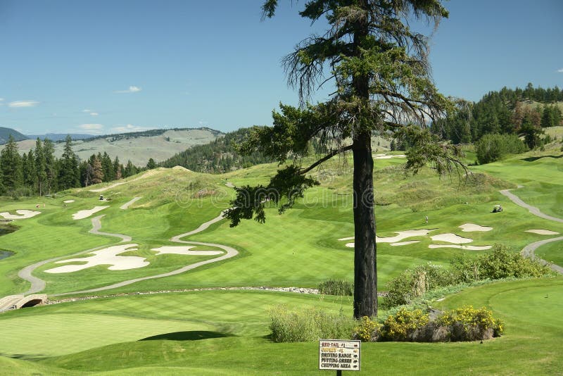 Golf Course stock image. Image of fringe, pastime, club - 6673463