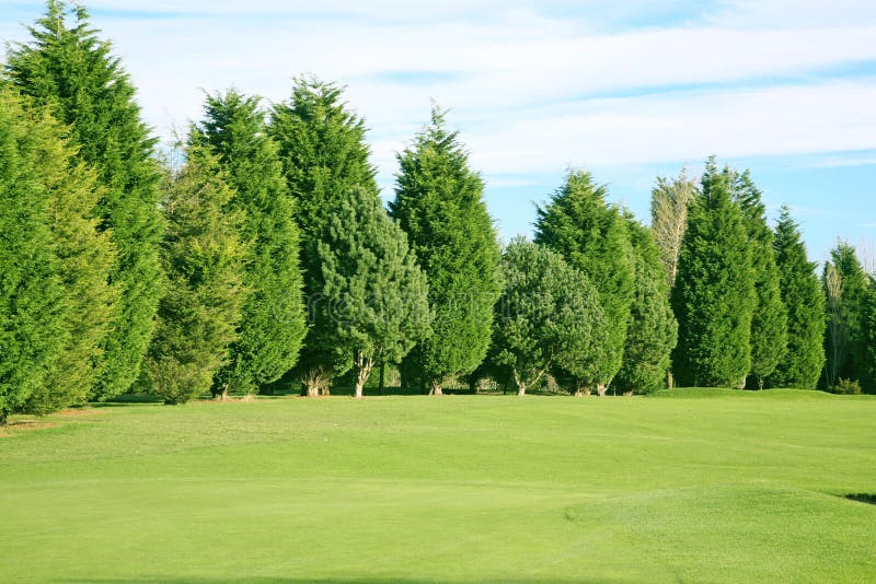 Golf course stock photo. Image of generic, golf, conifers - 37834964