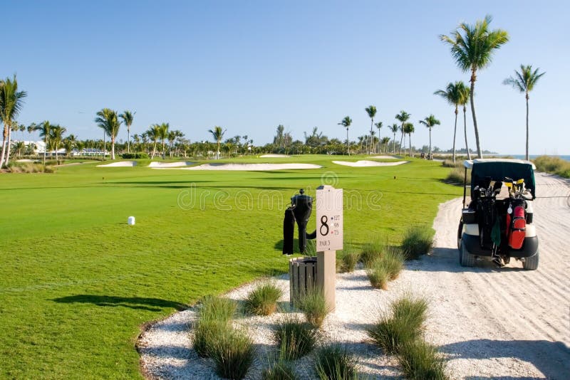 Golf Course Condos stock image. Image of holiday, fairway - 4344547