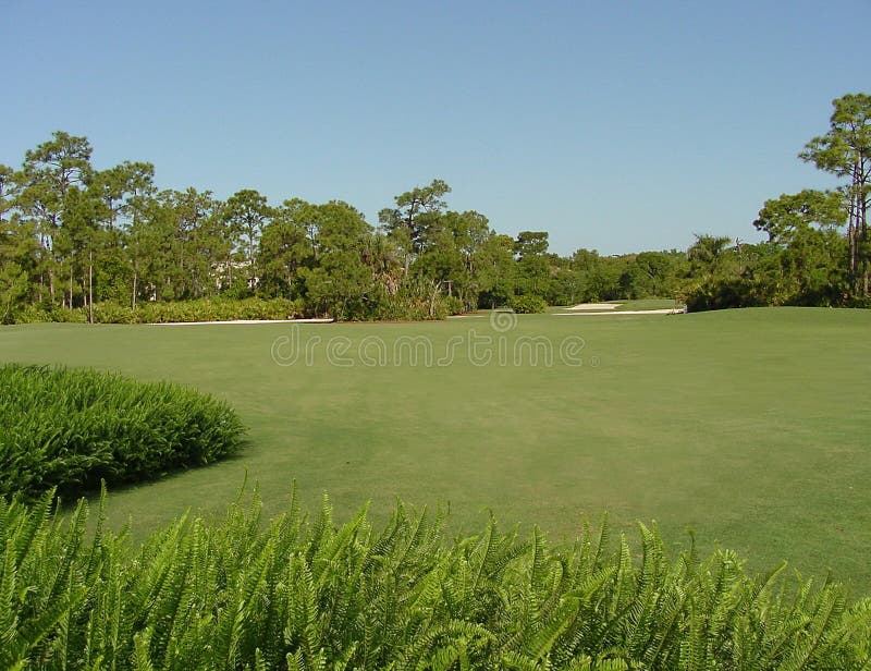 Golf Course Greens stock photo. Image of travel, shadows - 1438254