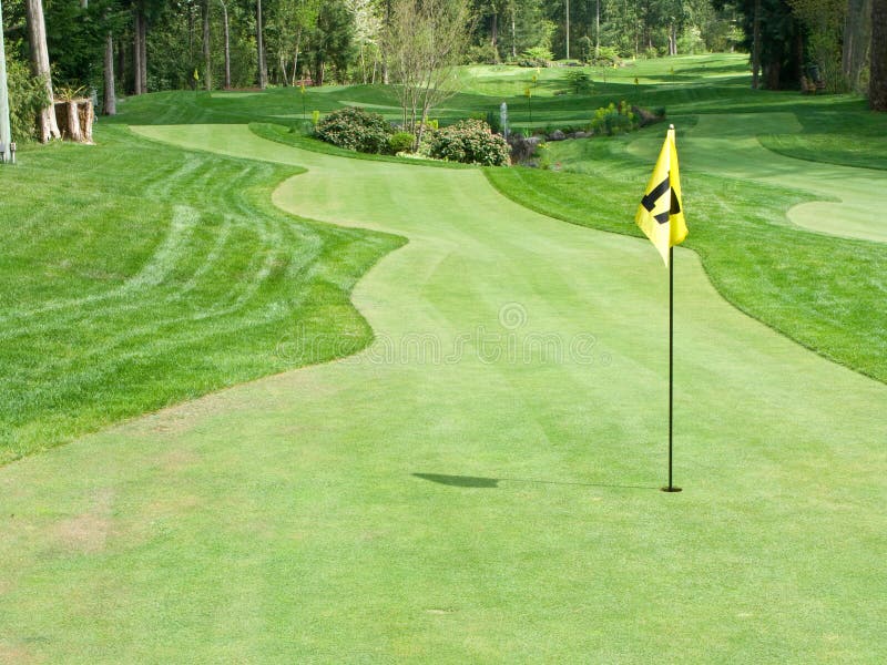Golf course stock photo. Image of outdoors, sport, fairway - 8645214