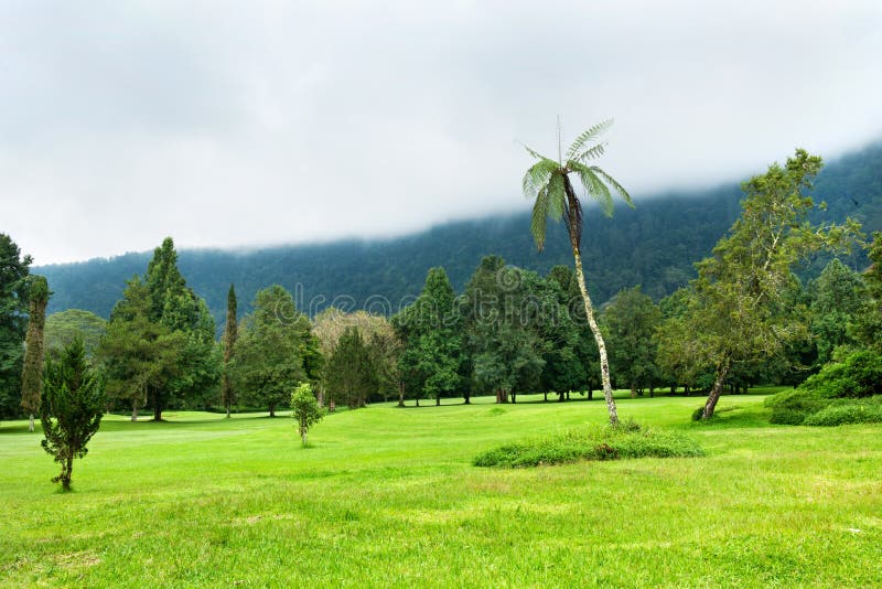 Golf course from dry land stock photo. Image of green - 20388406