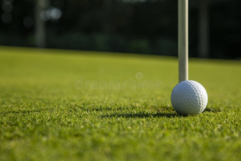 .Golf Course with Ball and Grass Stock Image - Image of fairway, play ...