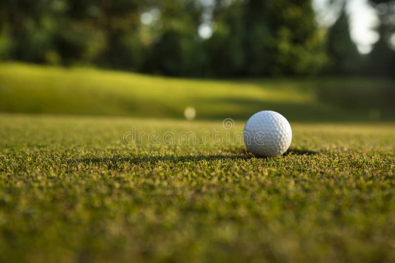 Golf Course with Ball and Grass Stock Photo - Image of competition ...