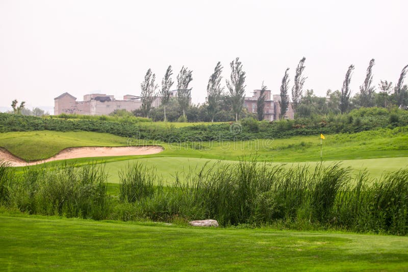 Golf Course stock image. Image of bunker, landscapes - 69379365