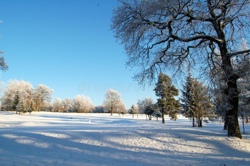 Golf Course at Bellshill, Lanarkshire in Winter Stock Image - Image of ...