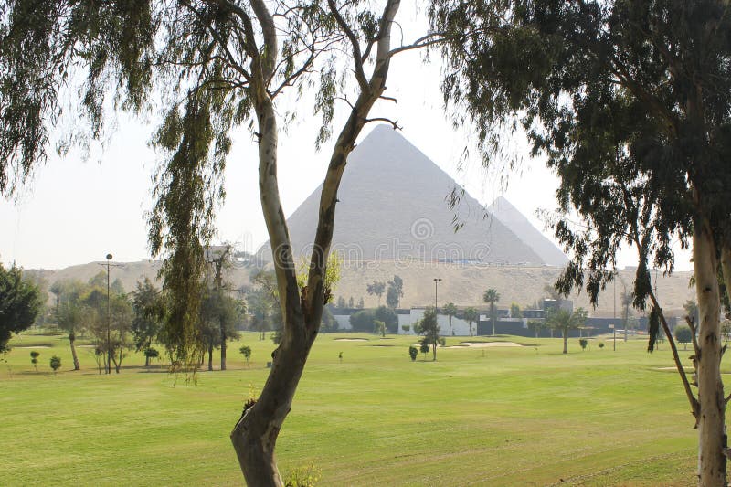 Golf course in Cairo stock photo. Image of architecture - 182006712