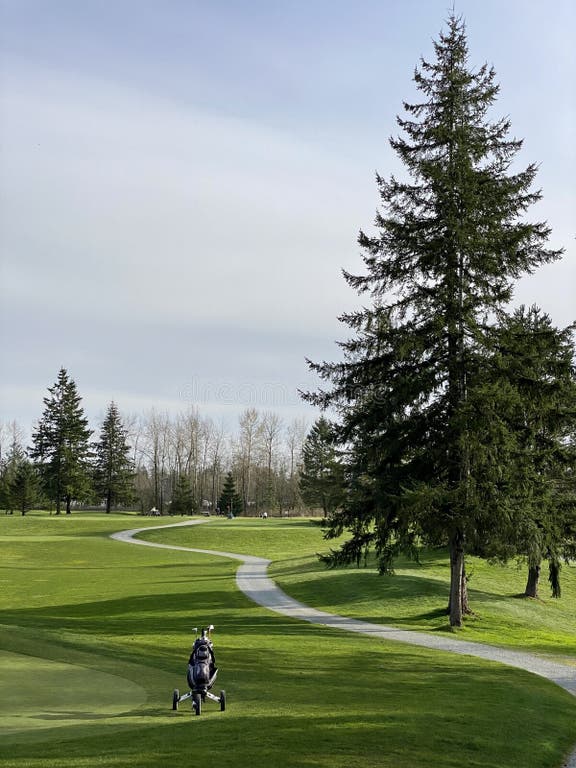 A Golf Course stock photo. Image of cart, path, golf - 219053888