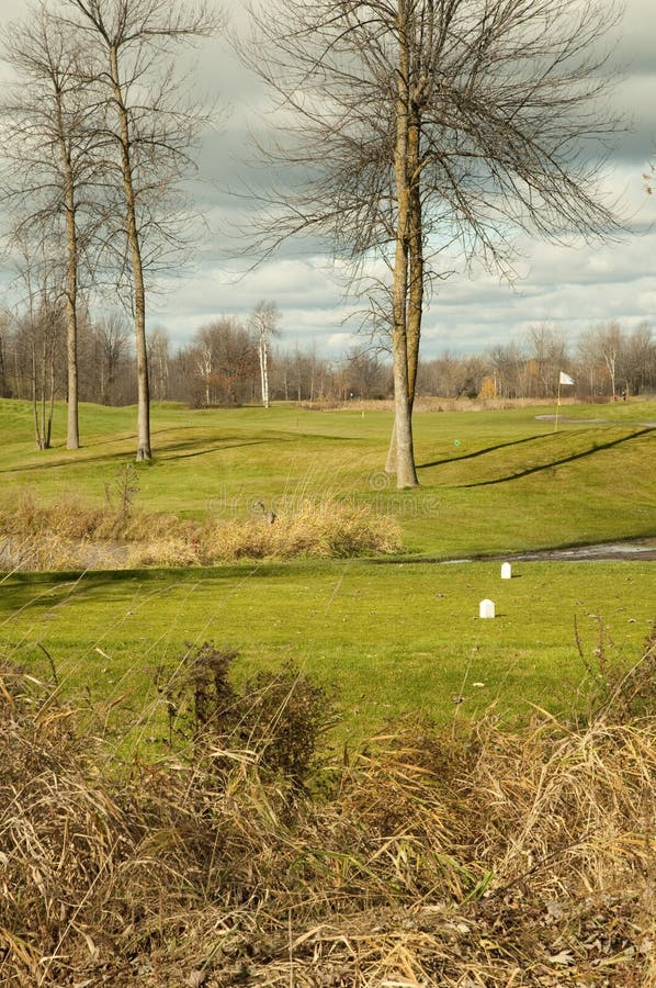 Golf course in fall stock image. Image of trees, flagpole - 11924809