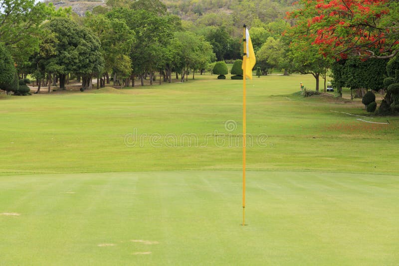 Golf course stock photo. Image of golf, countryside, natural - 32516238