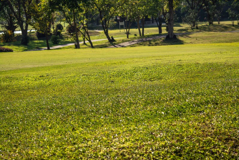 Golf Course the Game in Beautiful Nature. Stock Photo - Image of ...