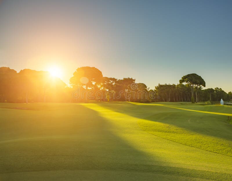 Golf Course stock image. Image of leisure, green, bright - 37884679