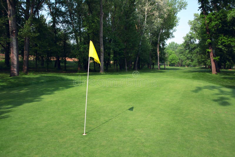 Golf course green stock photo. Image of green, putting - 17384208