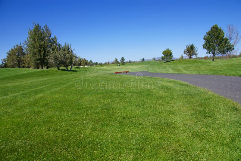 Golf course, green fairway stock photo. Image of green - 5311946