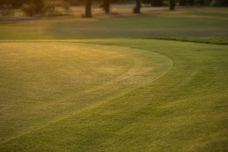 Golf course in green field stock image. Image of golfing - 324334659