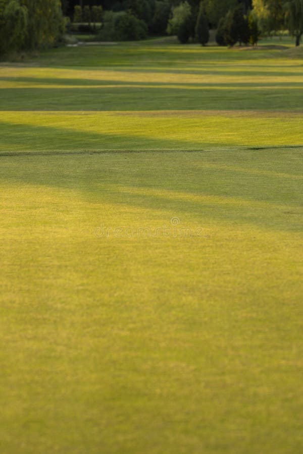 Golf course in green field stock photo. Image of play - 324338740