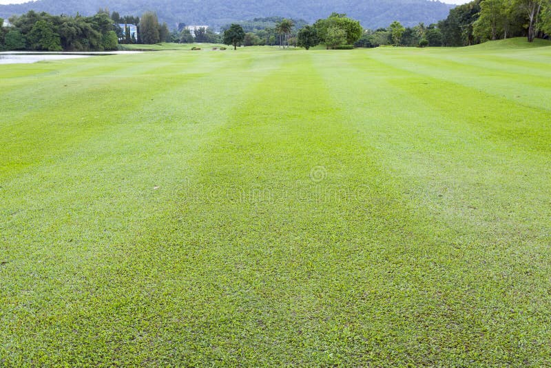 Golf Course Green Grass Field and Lagoon. Stock Image - Image of golf ...