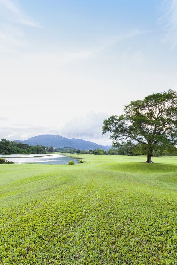 Golf Course Green Grass Field and Lagoon. Stock Image - Image of ...