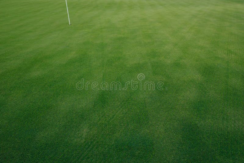 Golf Course Green Grass Texture Stock Photo - Image of environment ...