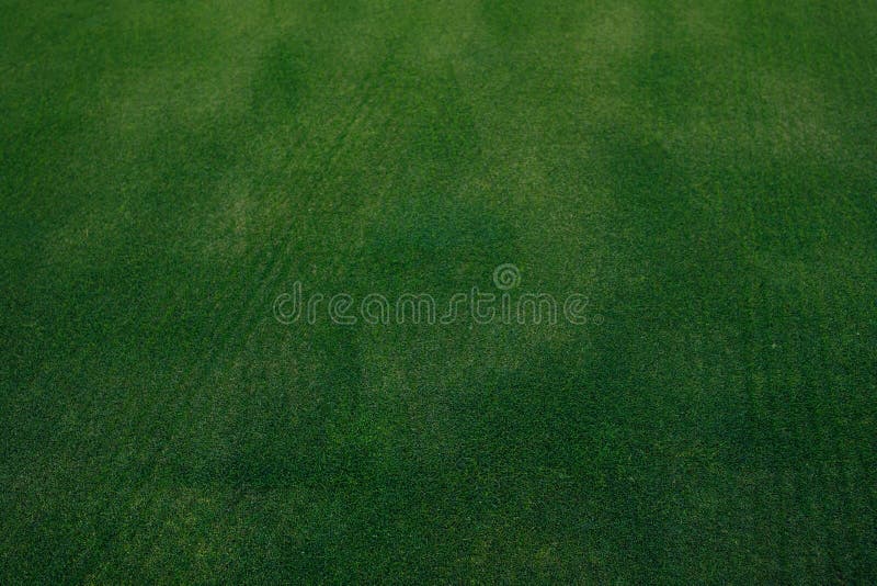 Golf Course Green Grass Texture Stock Image - Image of space, natural ...