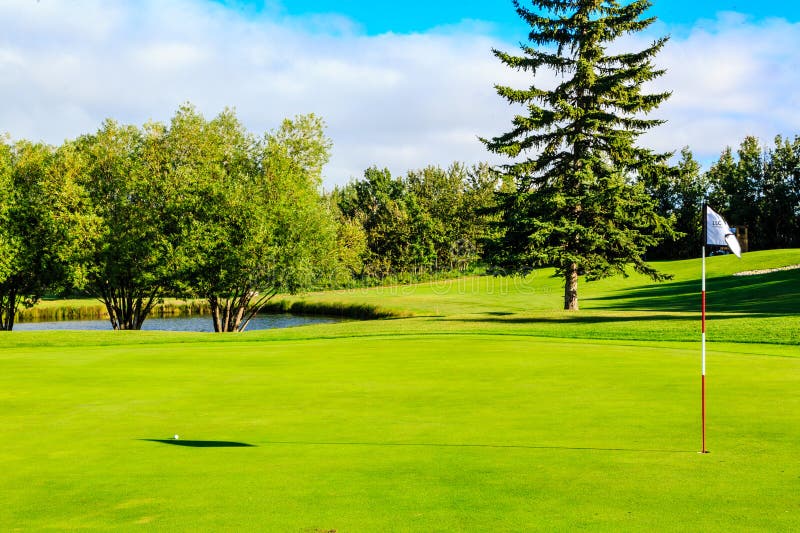 A Golf Course with a Green Grassy Field and a Flag on the Ground Stock ...