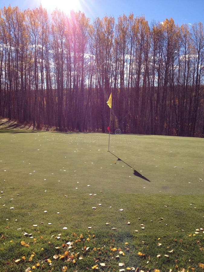 Golf course green stock photo. Image of golf, view, green - 45582978