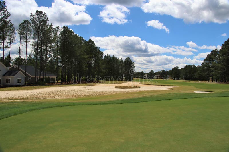 Golf Course Greens with Green Grass, Trees and Blue Sky Background ...