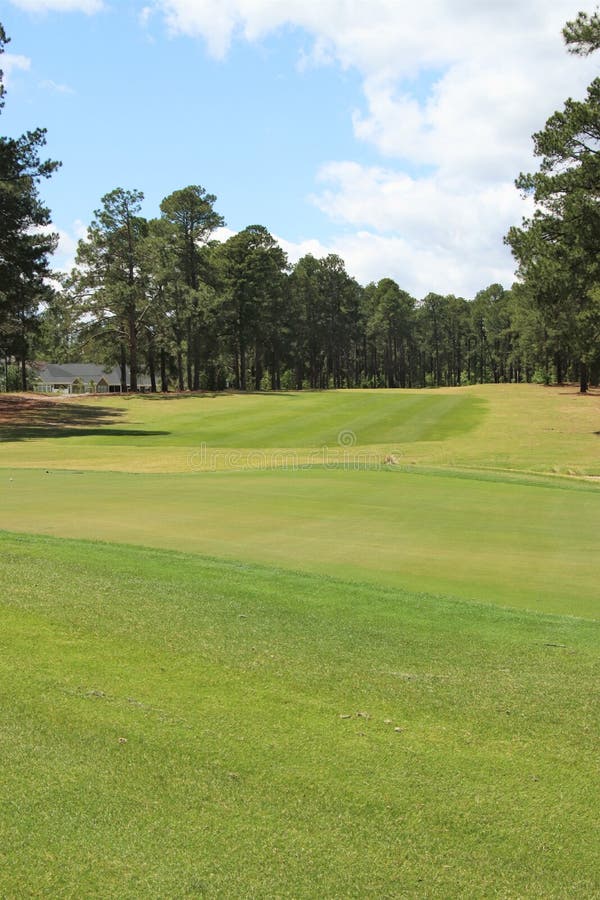 Golf Course Greens With Green Grass, Trees And Blue Sky Background ...