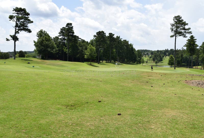Golf course landscape stock photo. Image of golfing, fairway - 74054524