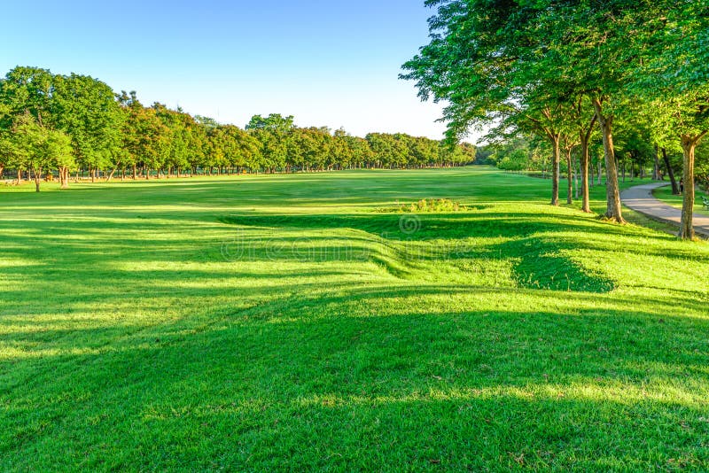 Golf Course Landscape with Tree Stock Photo - Image of landscape, hole ...