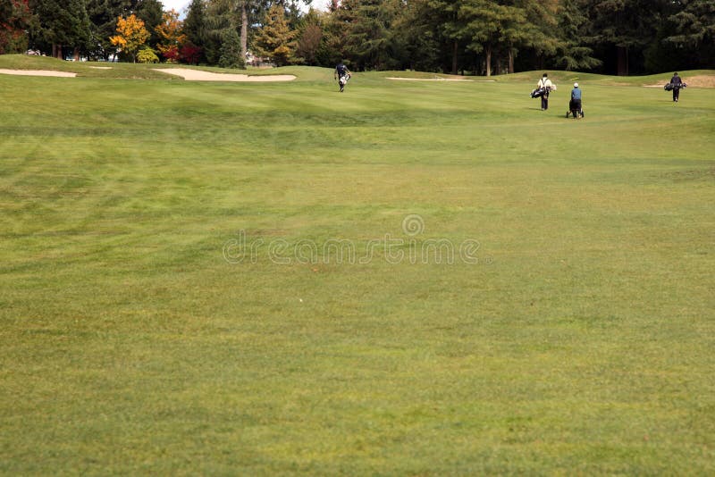 Golf Course - Luxury International Standard Stock Image - Image of ...