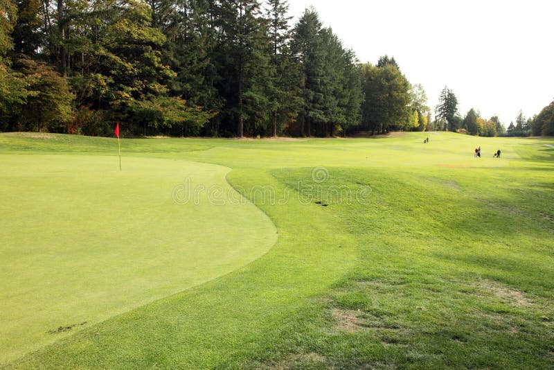Golf Course - Luxury International Standard Stock Image - Image of ...